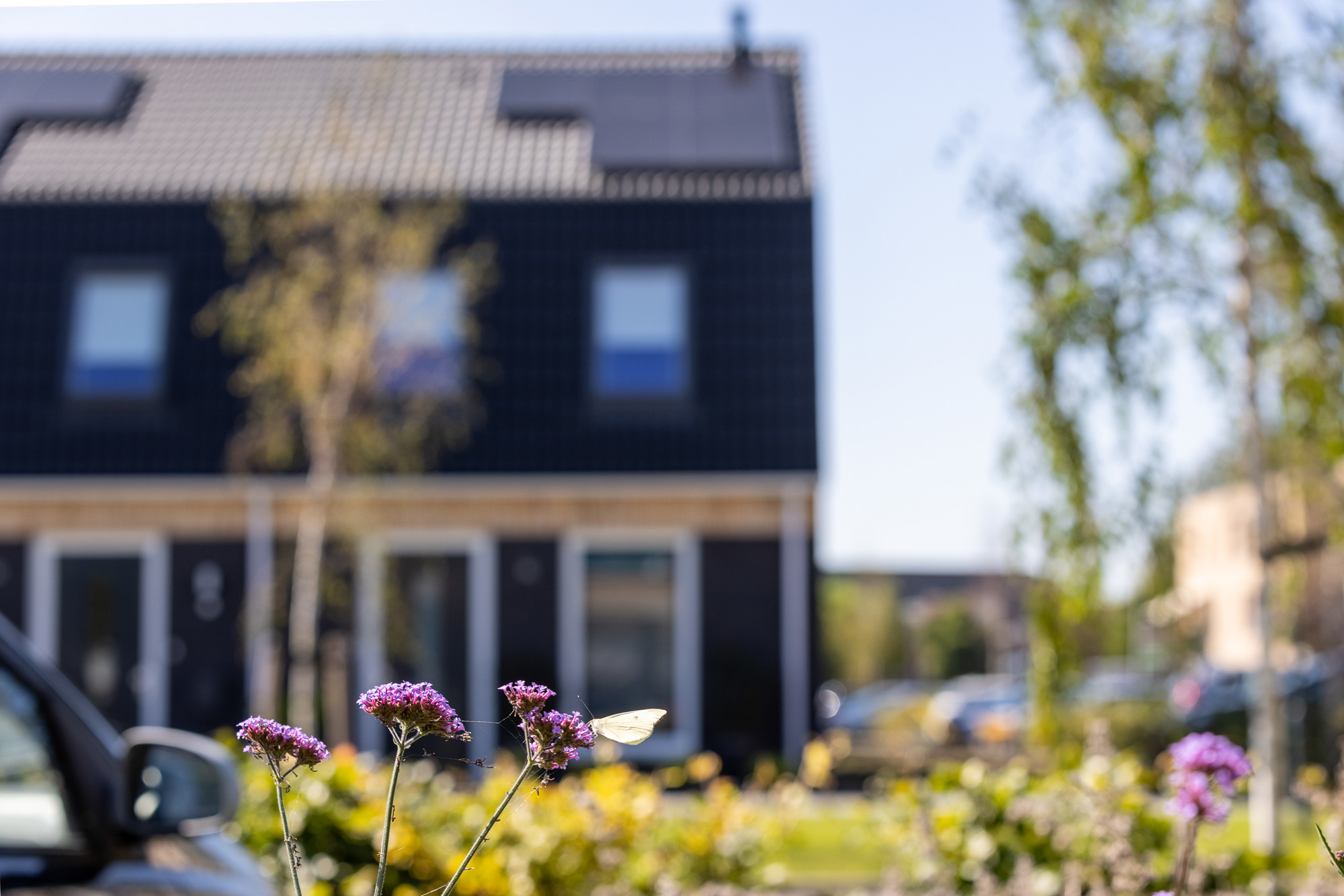 Bouwgroep Dijkstra Draisma